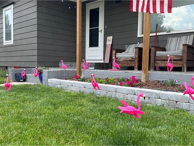 Live Feed | Chase County Schools